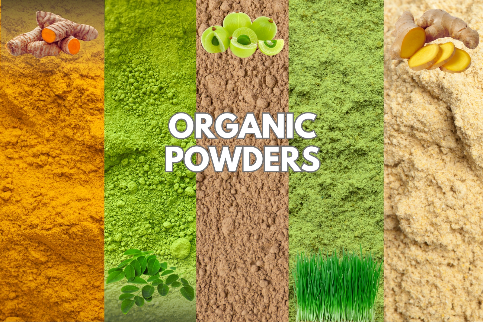 The Good Health (TGH) - Food Is Health, Food is Medicine